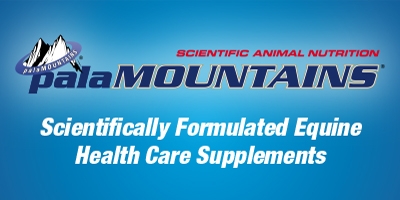 ISpyHorses connects horse people and their horses throughout the world